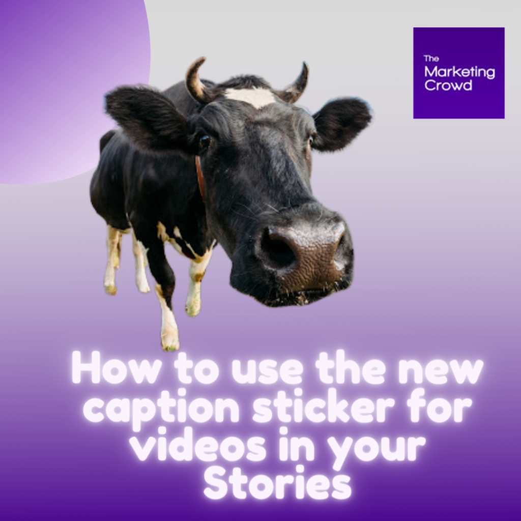 How to use the new caption sticker for videos in your Stories - The ...